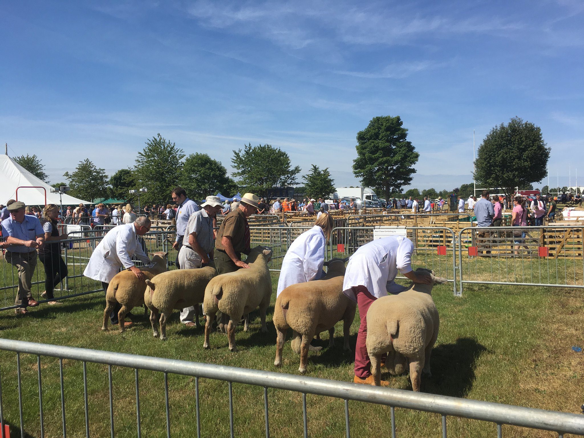 Driffield Show - Limitless Campers